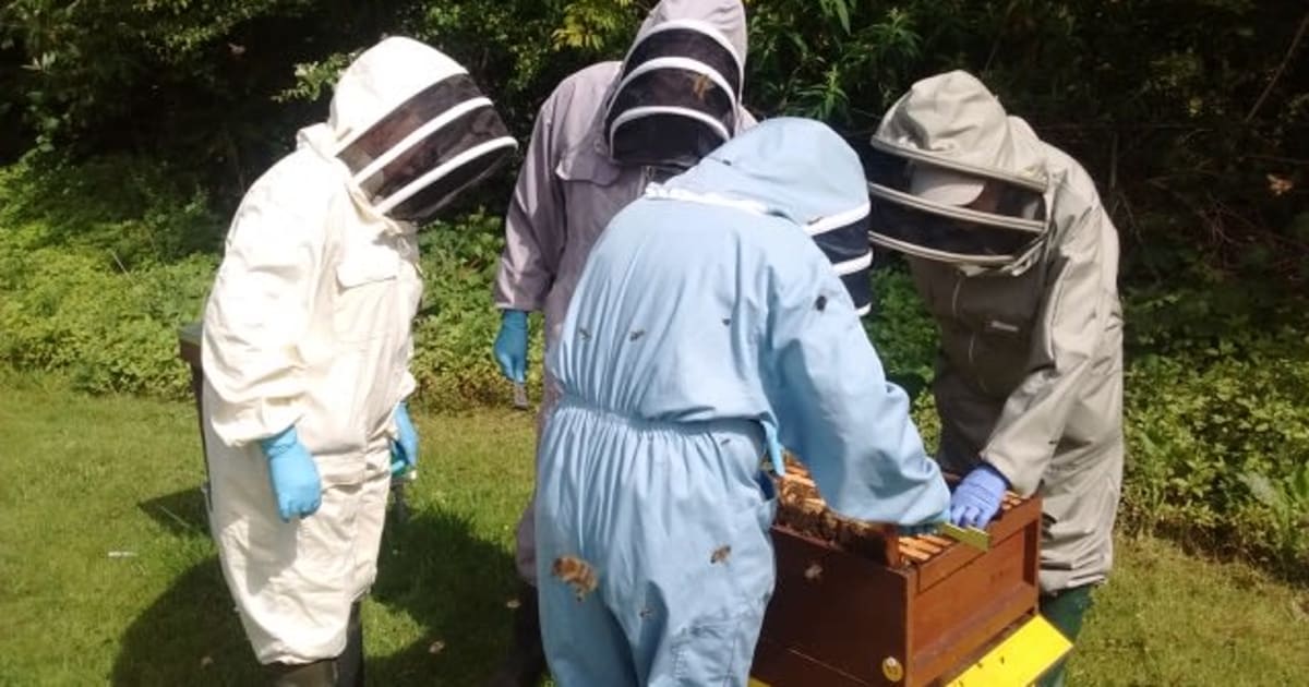 June | British Beekeepers Association