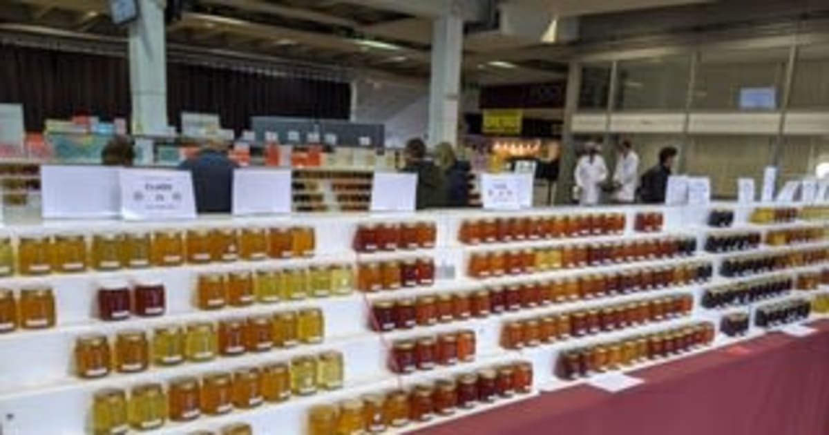 October In The Apiary 2023 | British Beekeepers Association